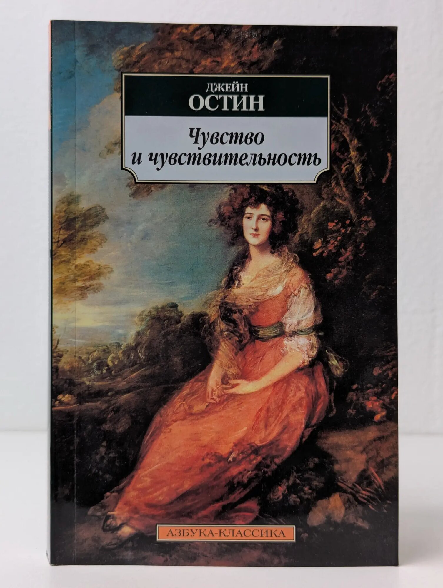 Чувство и чувствительность Остин Джейн 2013