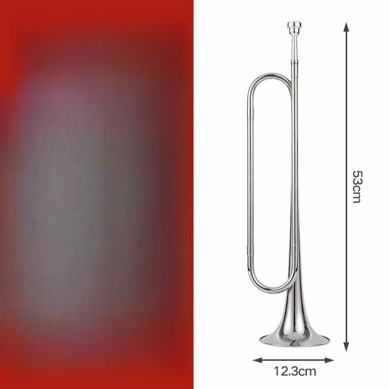 Труба си-бемоль мажор подходит для начинающих. Корнет также является хорошим выбором.