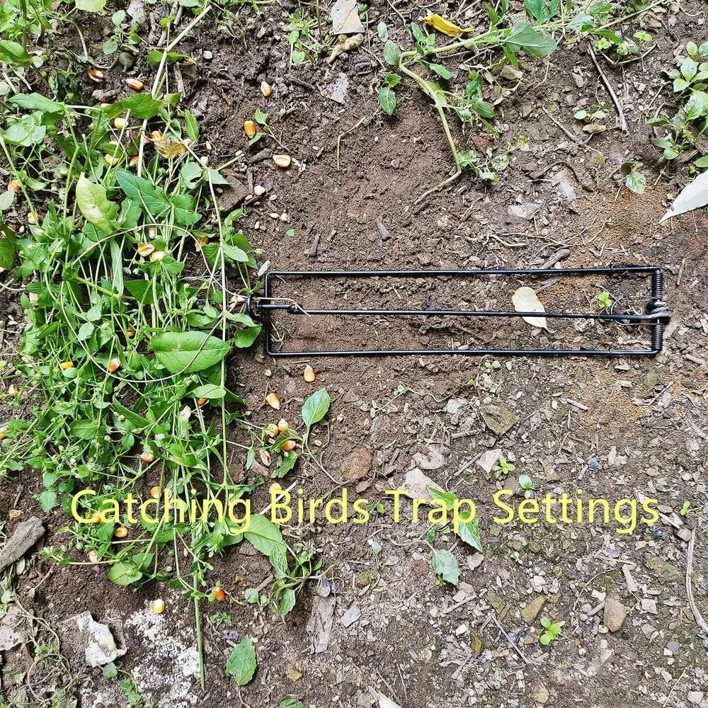 Домашняя ловушка для птиц удобное приспособление для охоты и кемпинга, подходит для поимки голубей, фазанов, уток и других птиц