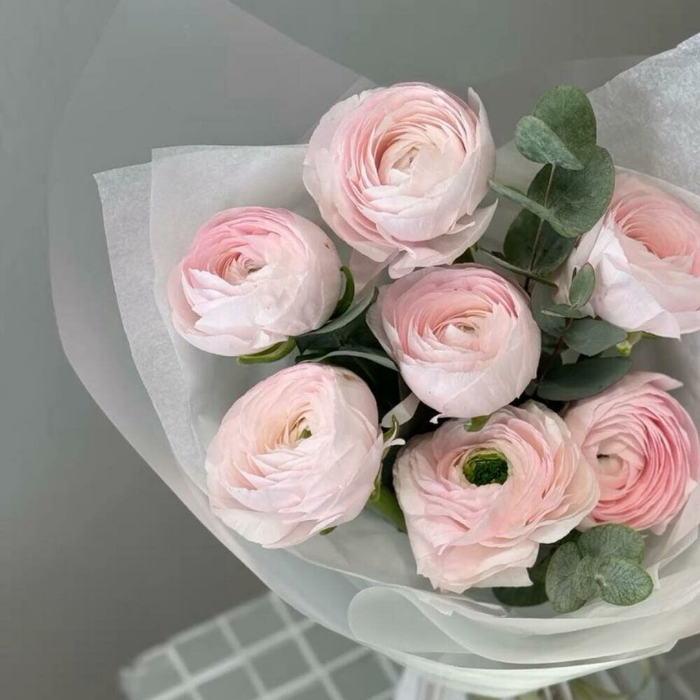 Букет с ранункулюсами 7 шт розовые к 14 февраля
