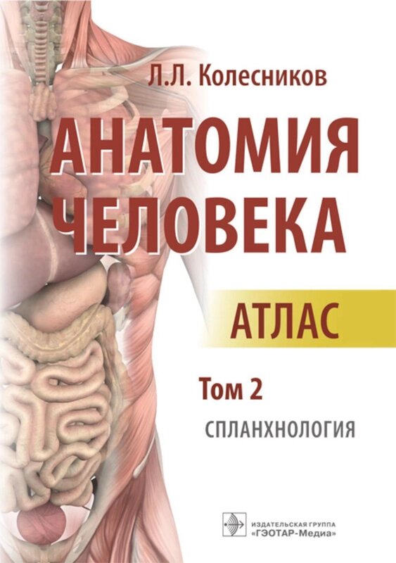 Анатомия человека: атлас: В 3 т. Т. 2. Спланхнология (Колесников Л. Л.)
