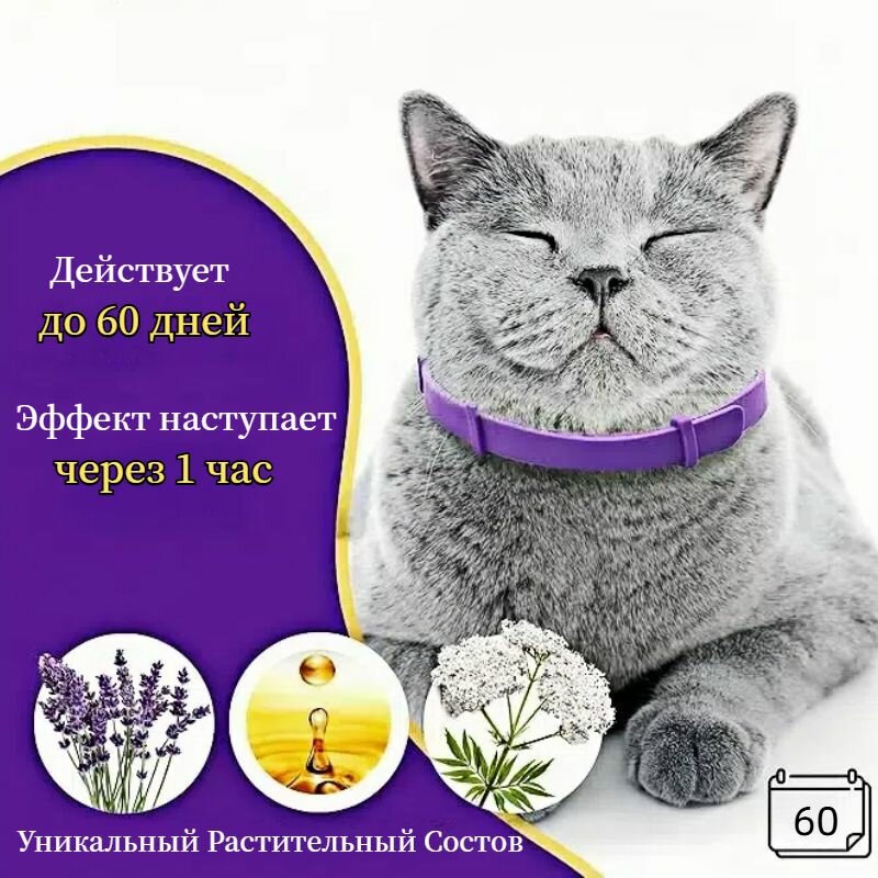 Успокаивающий ошейник с феромонами для кошек, успокаивающий на 60 дней