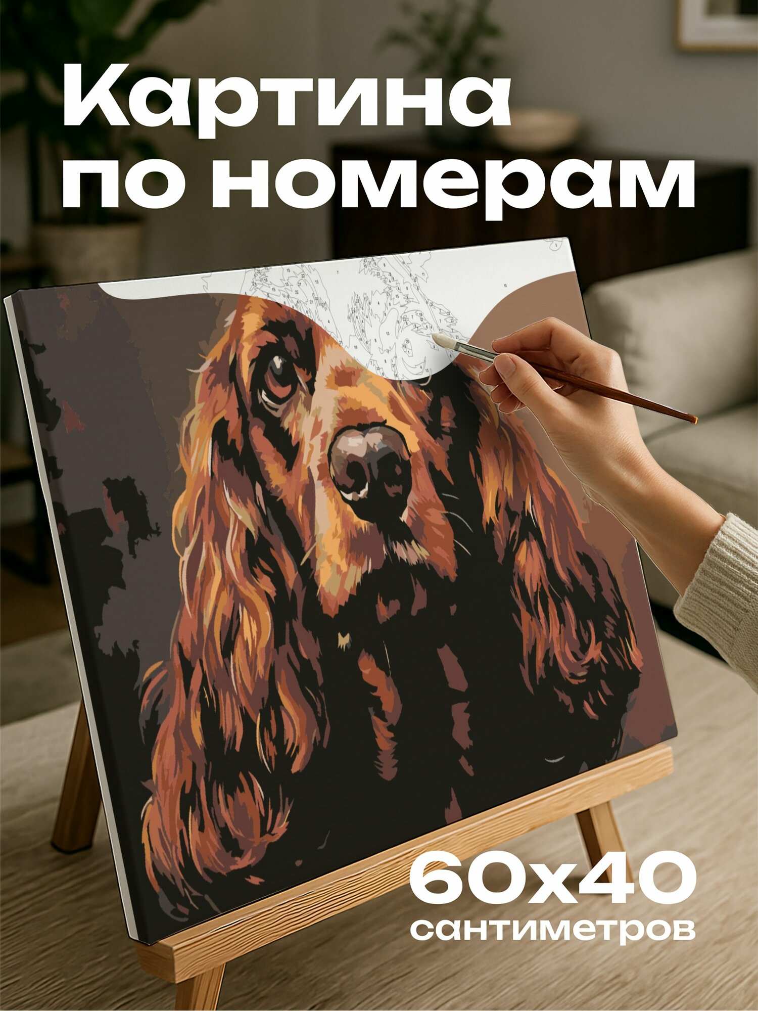 Картина по номерам 60x40 см, Кокер-спаниель, масляная картина, величественный, бархатный фон, грация, элегантность