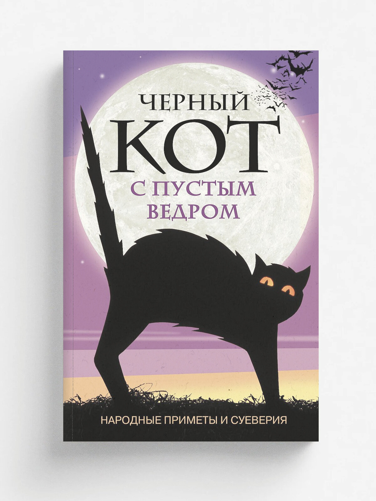 Черный кот с пустым ведром