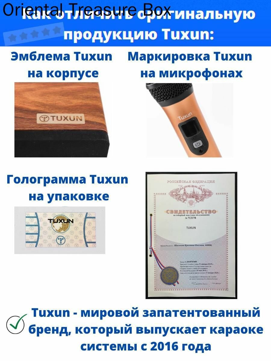 Караоке-система — фото 1