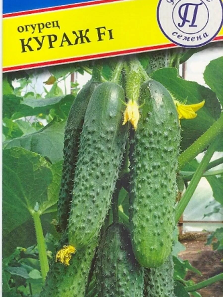 Огурец Кураж F1 5 шт, Семена Престиж