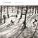 Anouar Brahem - Le Pas Du Chat Noir (2LP)