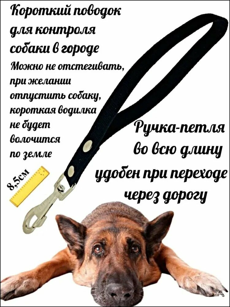 Поводок — фото 1