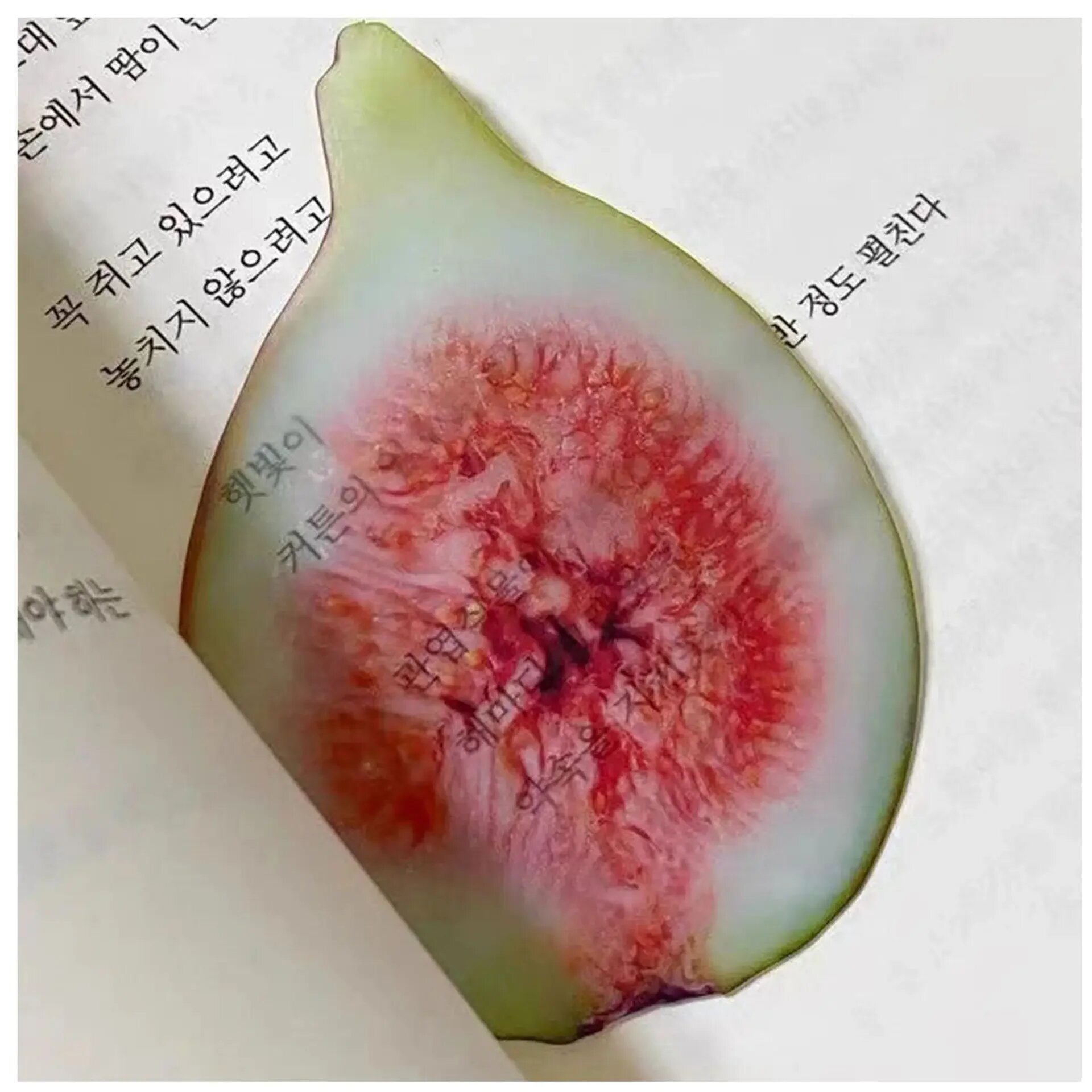 Закладка для книг из пластика, цвет Fig