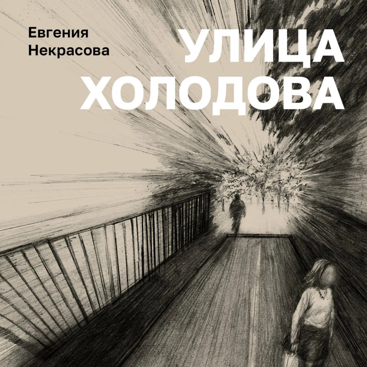 Улица Холодова [Аудиокнига]