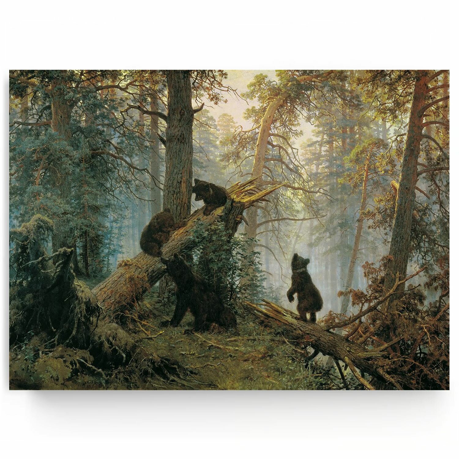 Репродукция / Картина на холсте, Иван Шишкин, Савицкий "Утро в сосновом лесу", 50х70 см.