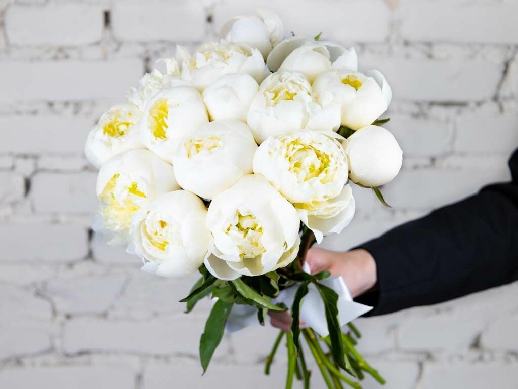 Букет 15 белых пионов
