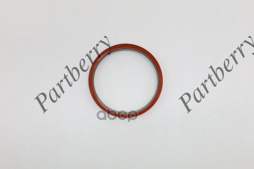 Прокладка вакуумного насоса / FORD Duratorq TDCI 22 PARTBERRY арт. PB566608