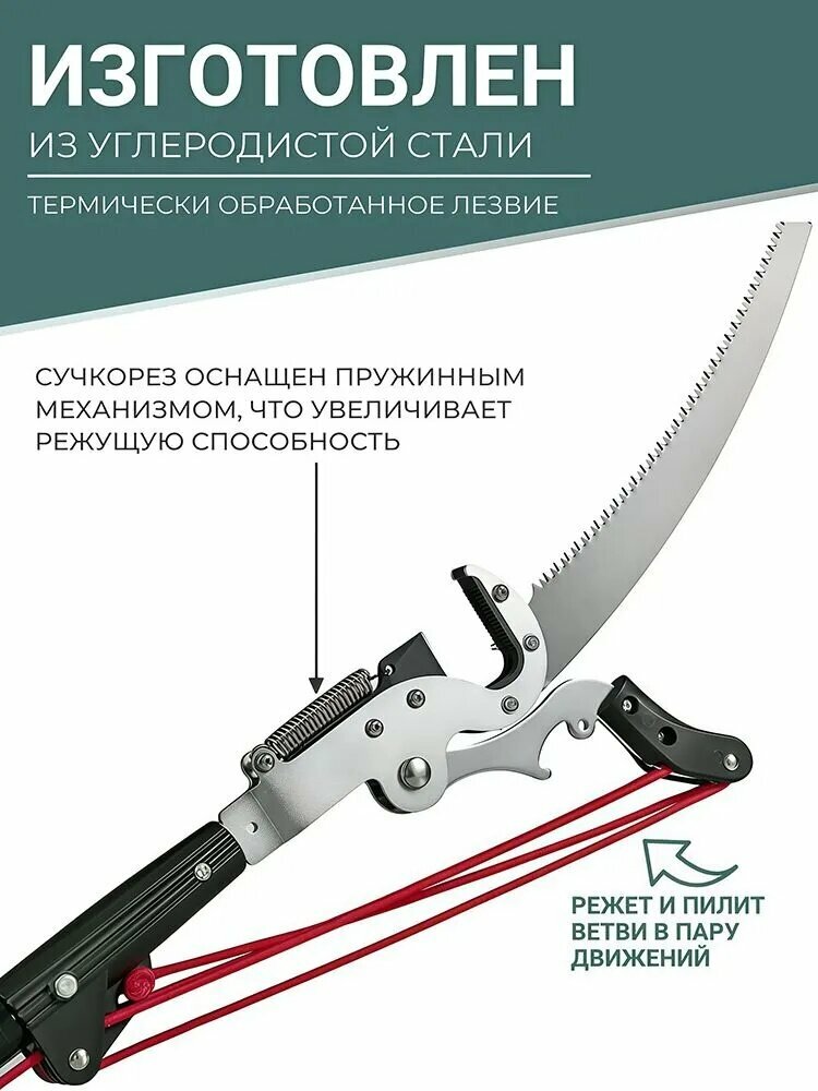 Сучкорез