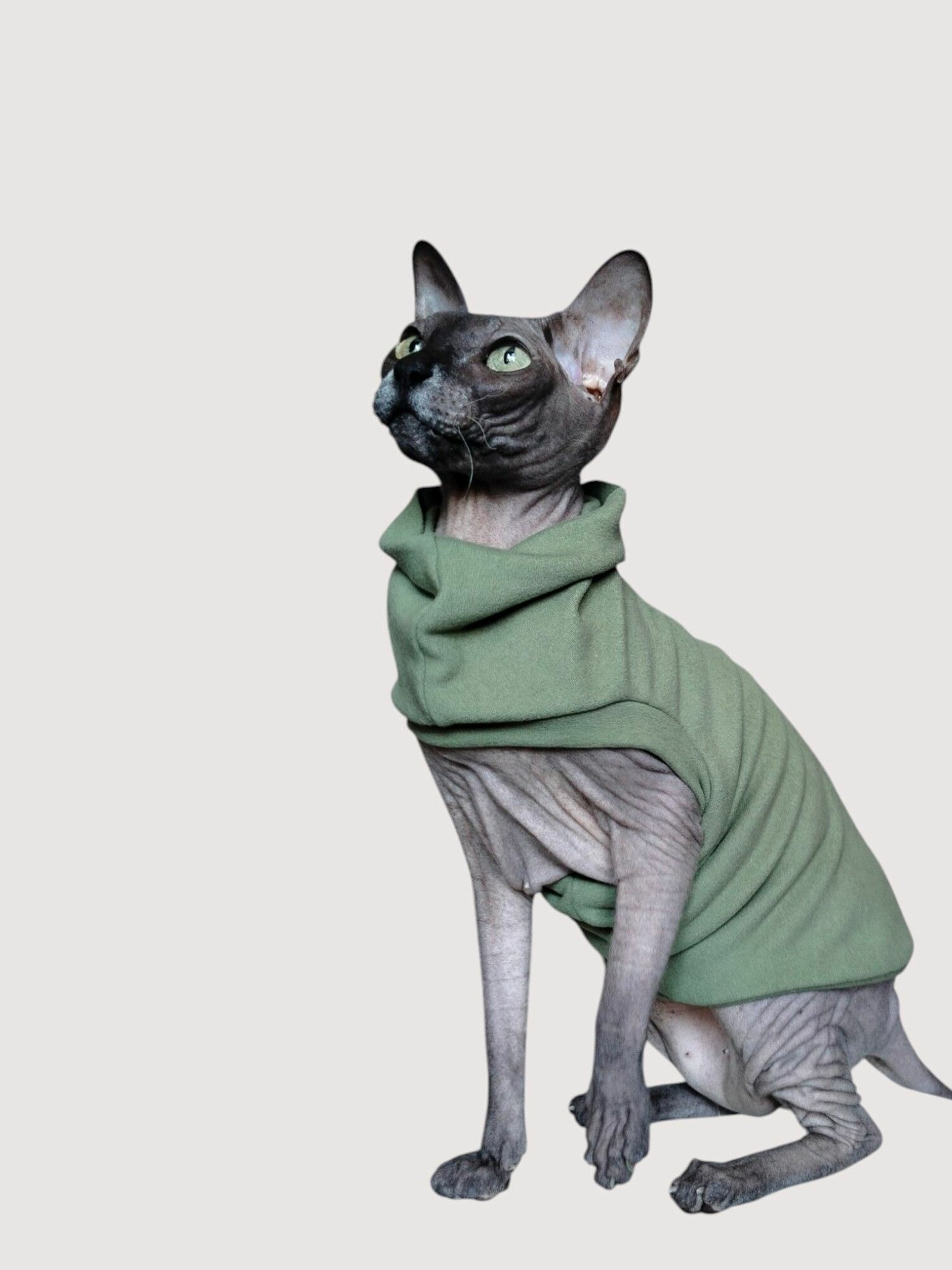 Одежда для животных