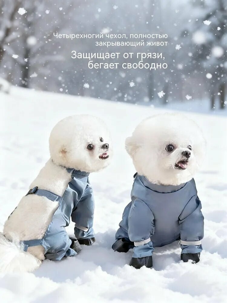 Обувь для собак — фото 1