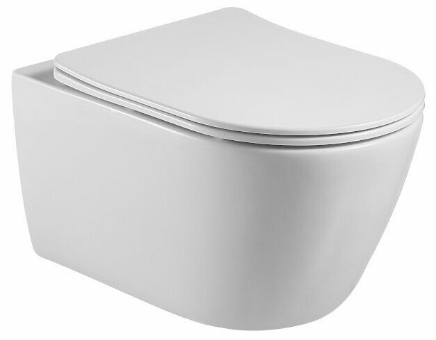 Унитаз подвесной AQUATEK Бетта AQ1253W-00 с сиденьем Soft Close