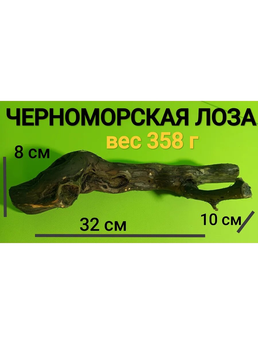 Черноморская виноградная лоза мини для аквариума, террариума