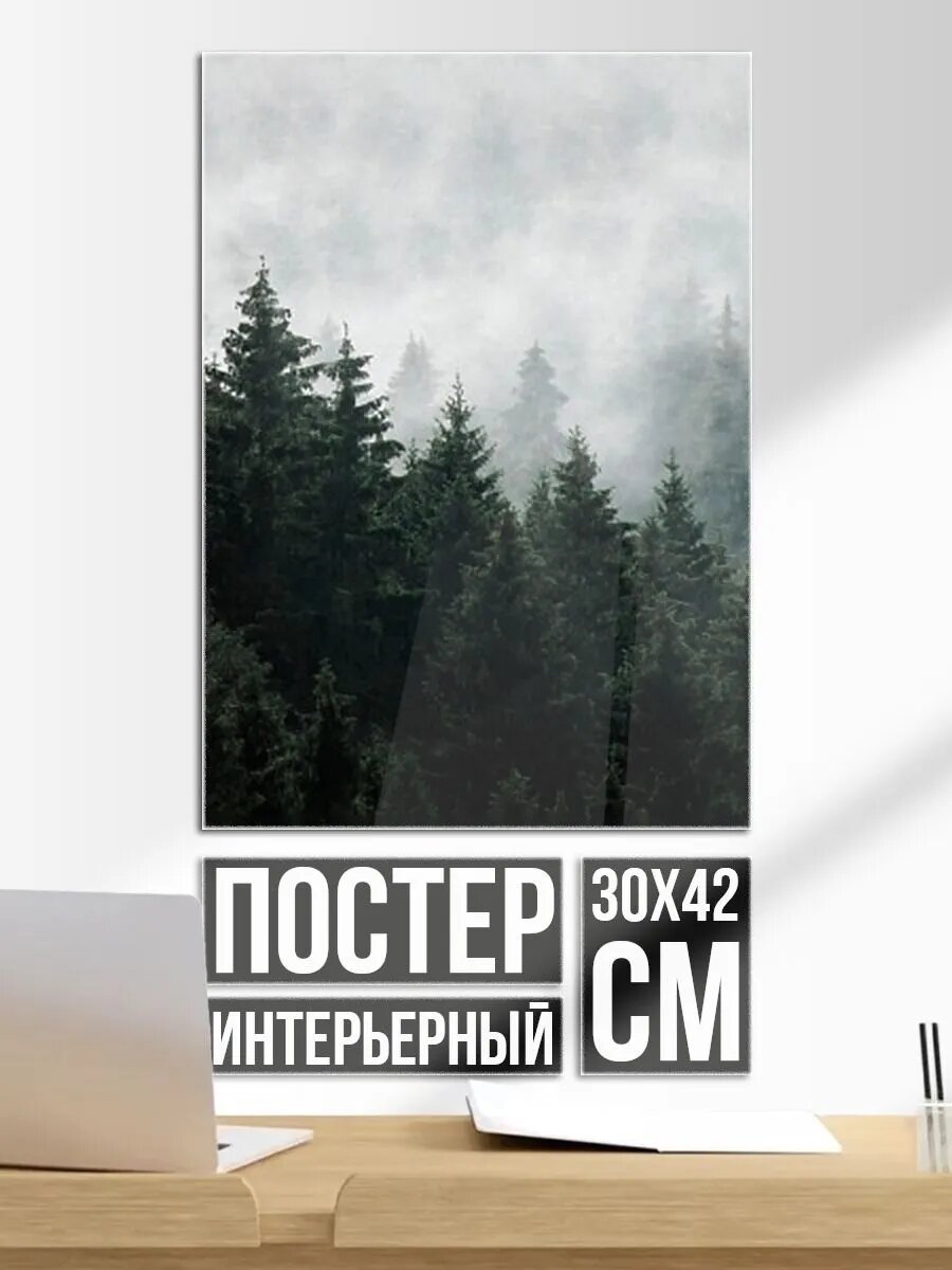 Постер на стену Туманный хвойный лес