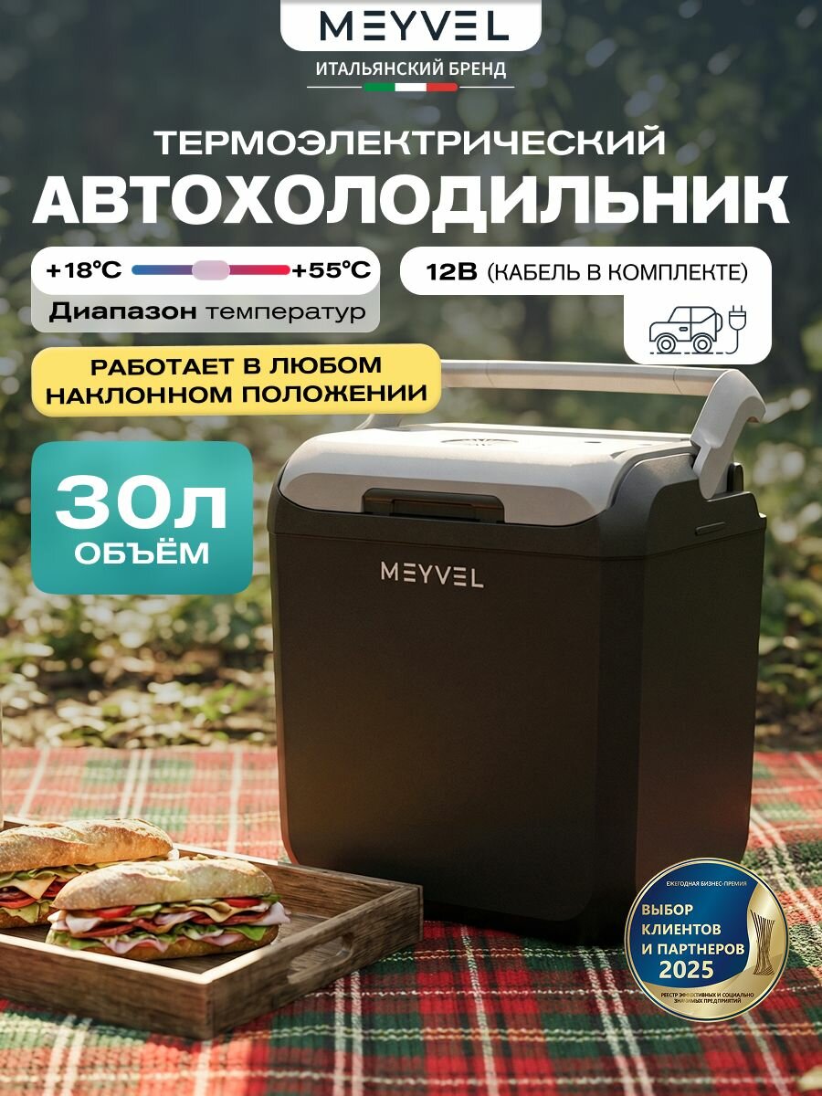 Автохолодильник термоэлектрический 12в на 30 литров Meyvel AF-T30A (Чёрный)