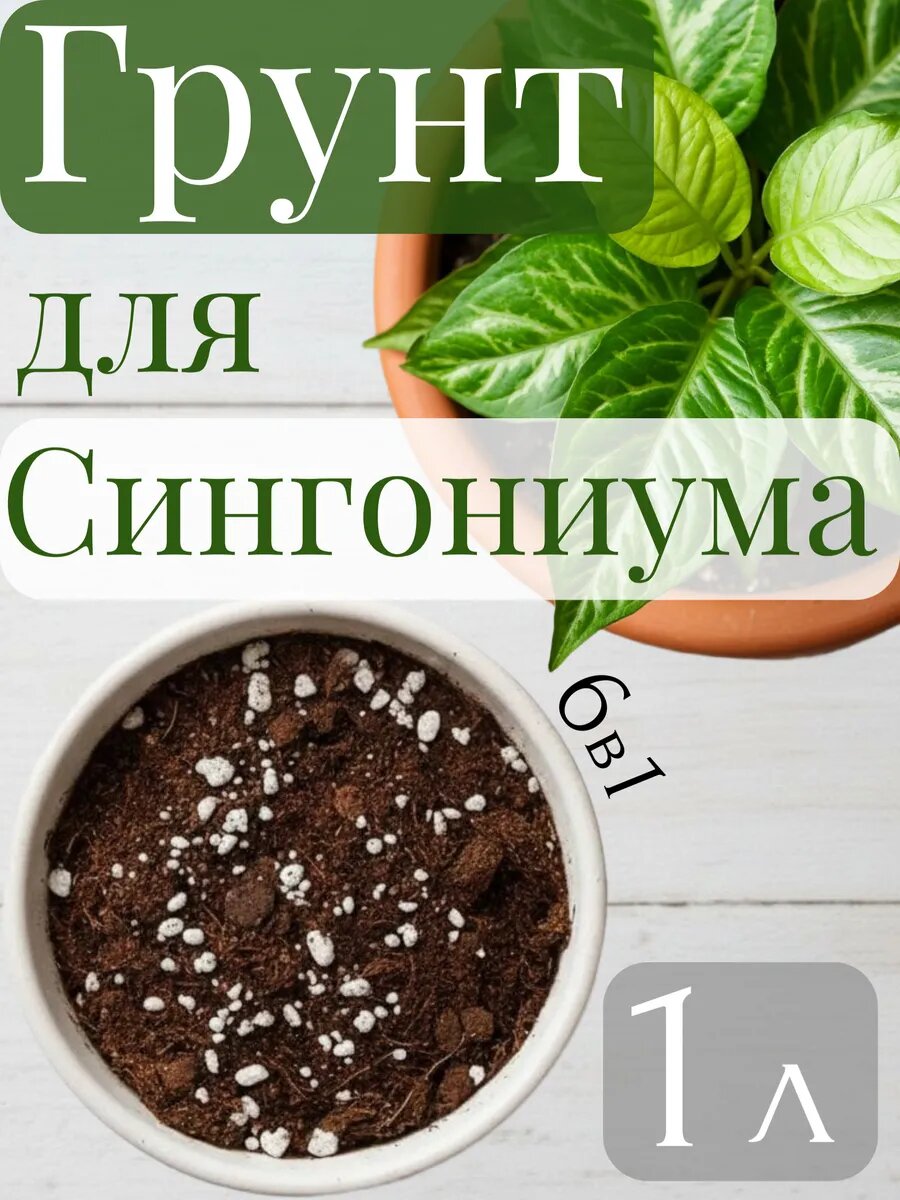 Готовый грунт для Сингониума 1 литр