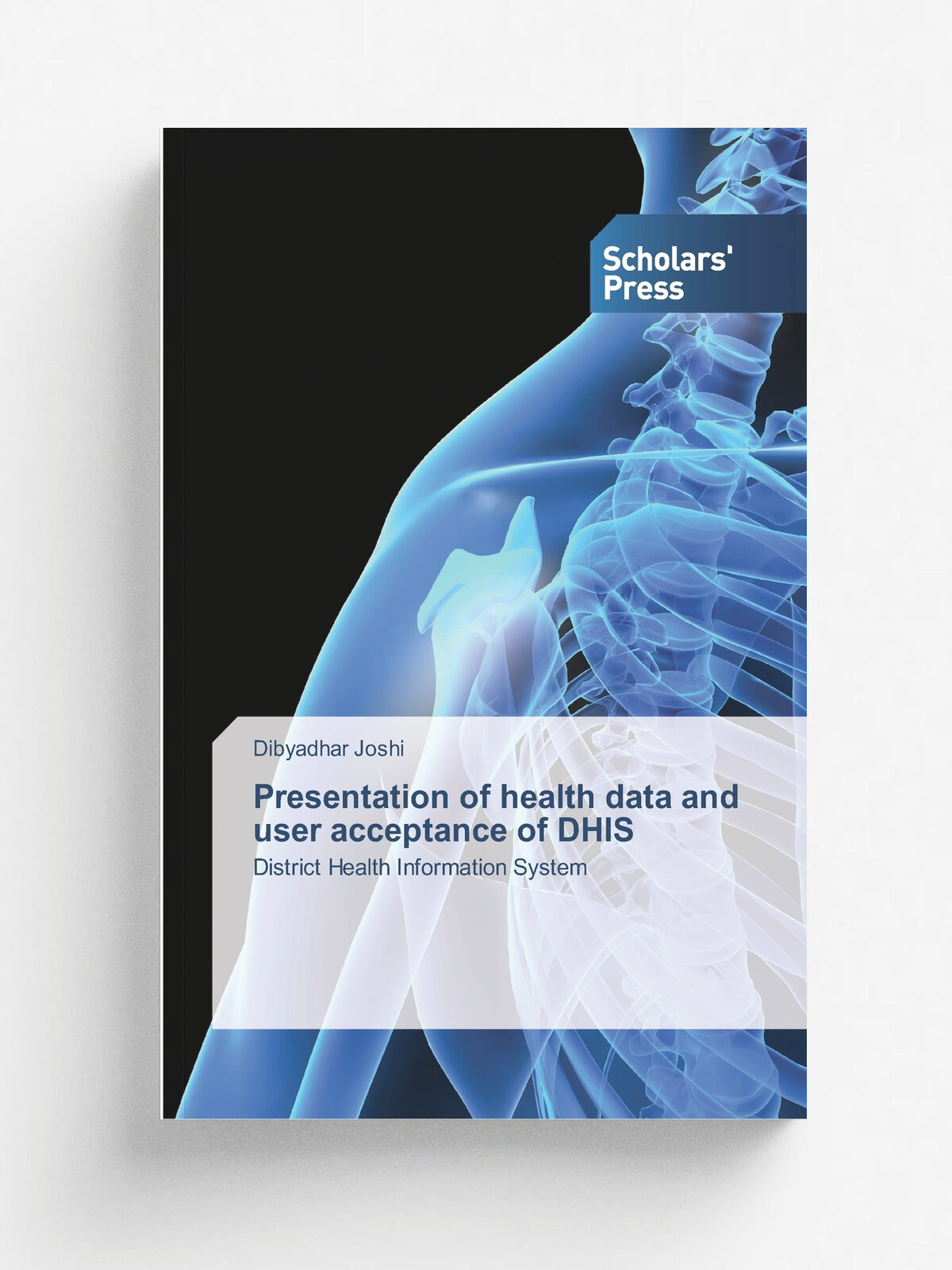 Presentation of health data and user acceptance of DHIS