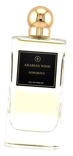 Арабиан Винд Горджес мужская парфюмерная вода 75 мл / Arabian Wind Gorgeous аромат для него