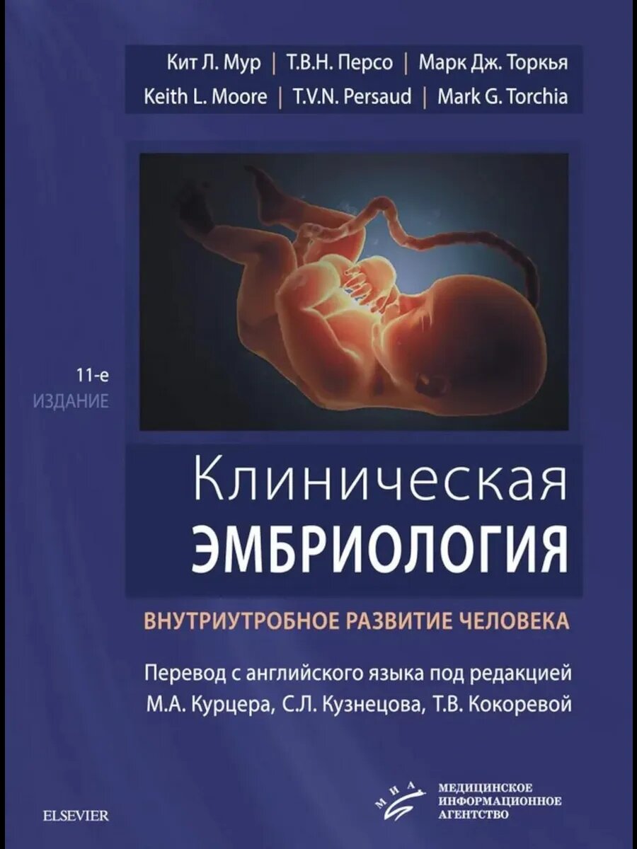 Клиническая эмбриология. Внутриутробное развитие человека. 11-е изд.