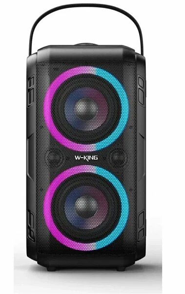 Портативная акустика W-King T9-2