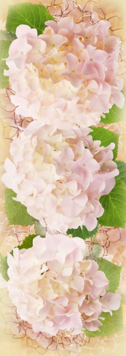 Фотообои "Гортензии" 4 листа 97х272