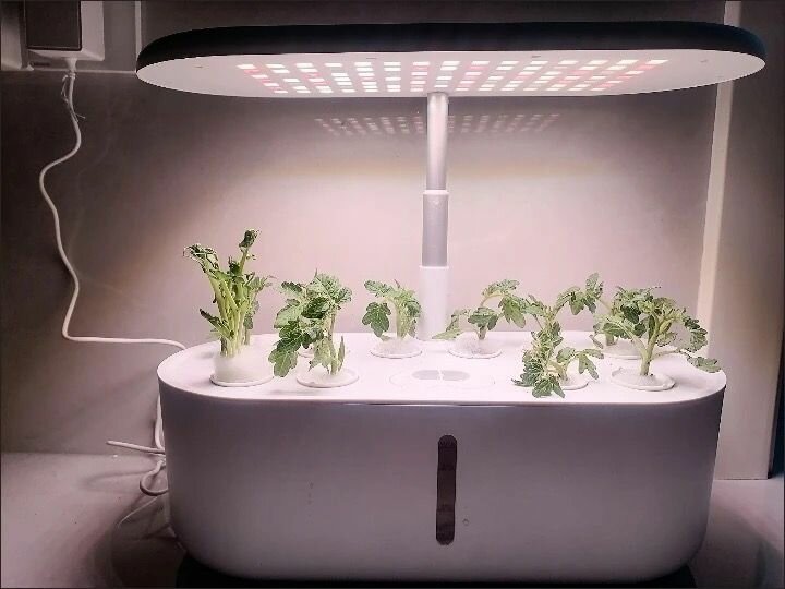 Гидропонная установка