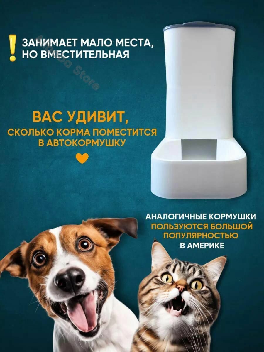 Автокормушка — фото 1
