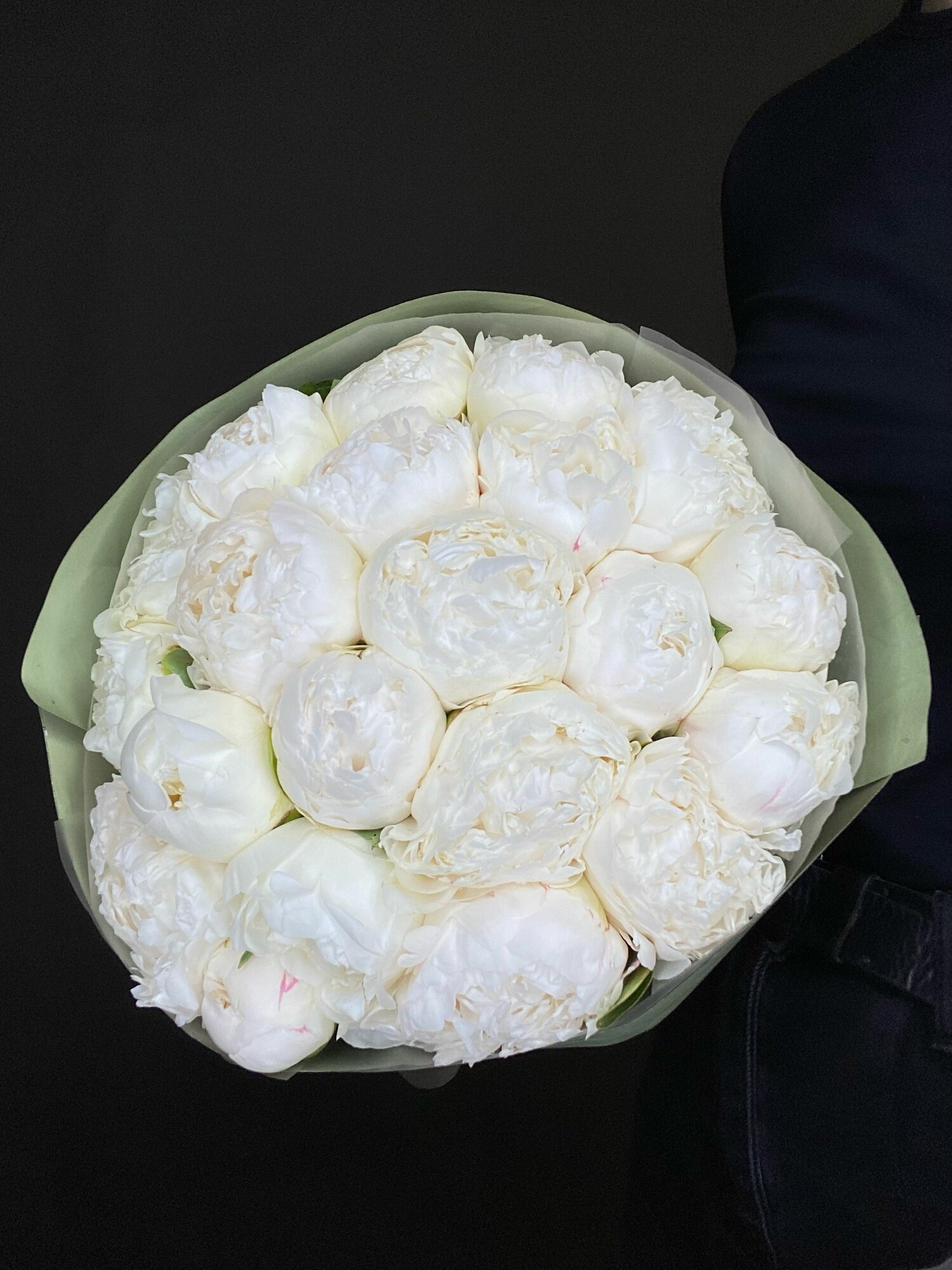 Белые пионы