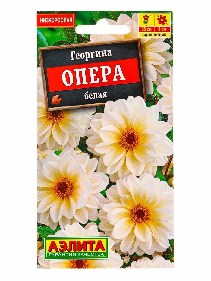 Семена цветов Георгина Опера белая , Ц/П,7 шт. 10945444