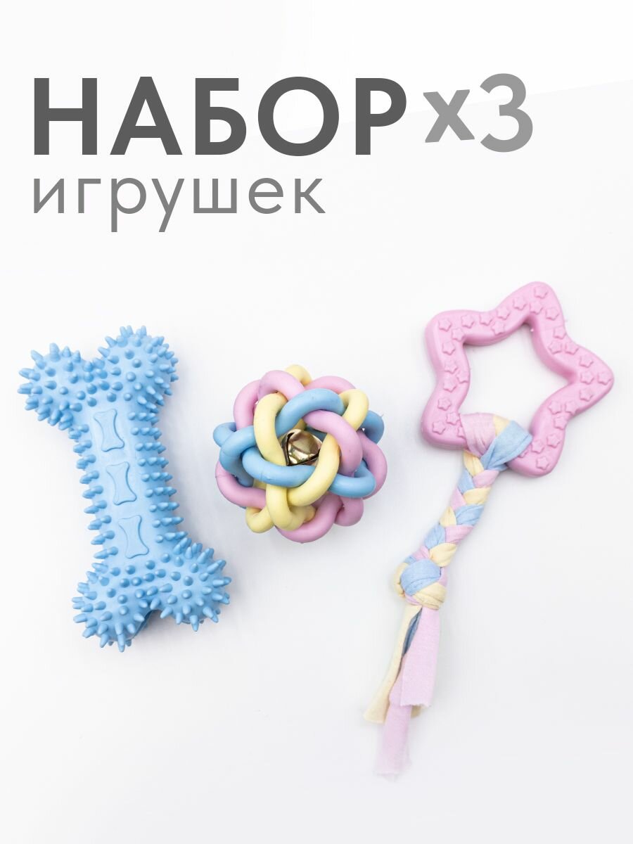 Набор жевательных игрушек "Здоровье десен", для собак, 3 предмета