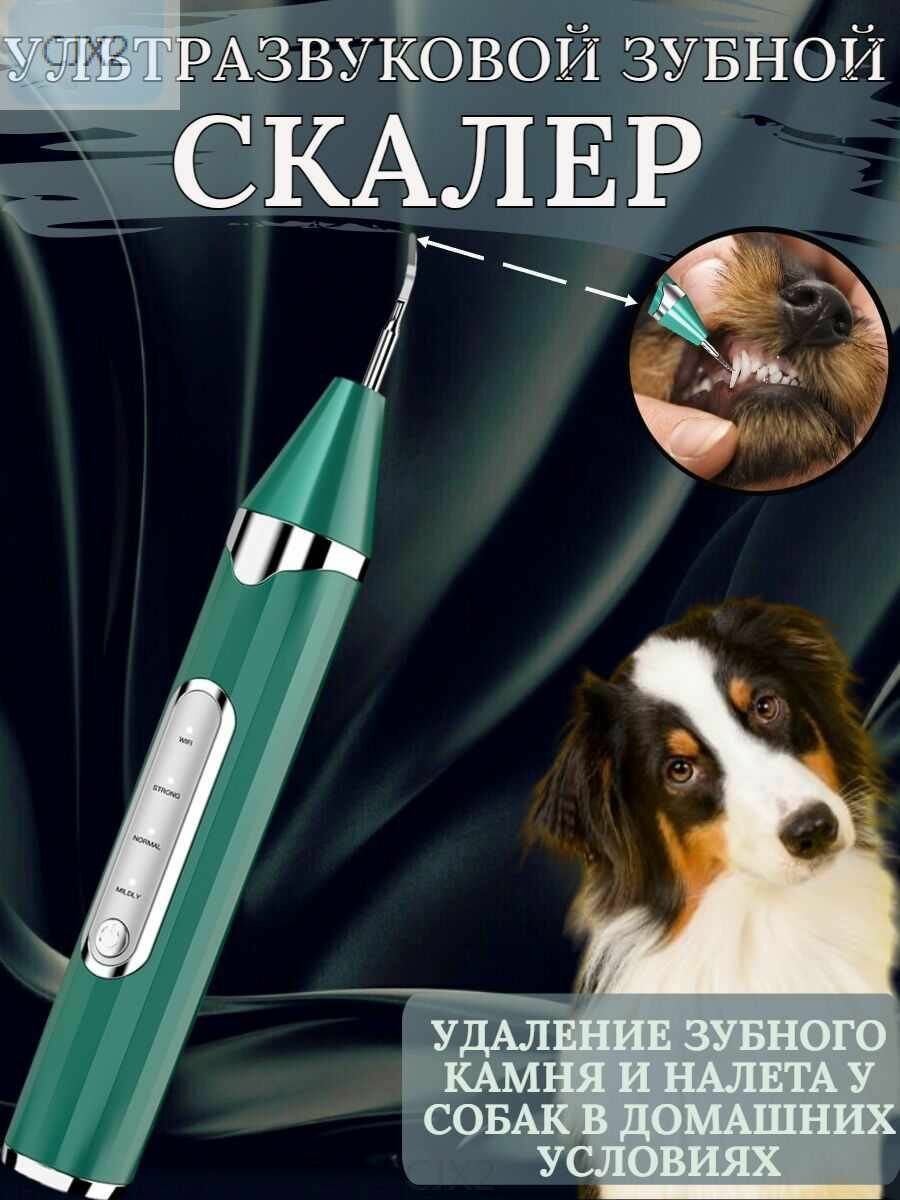 Скалер ультразвуковой электрический для удаления зубного камня у собак, зубная щетка для ухода за полостью рта для животных-cjx2