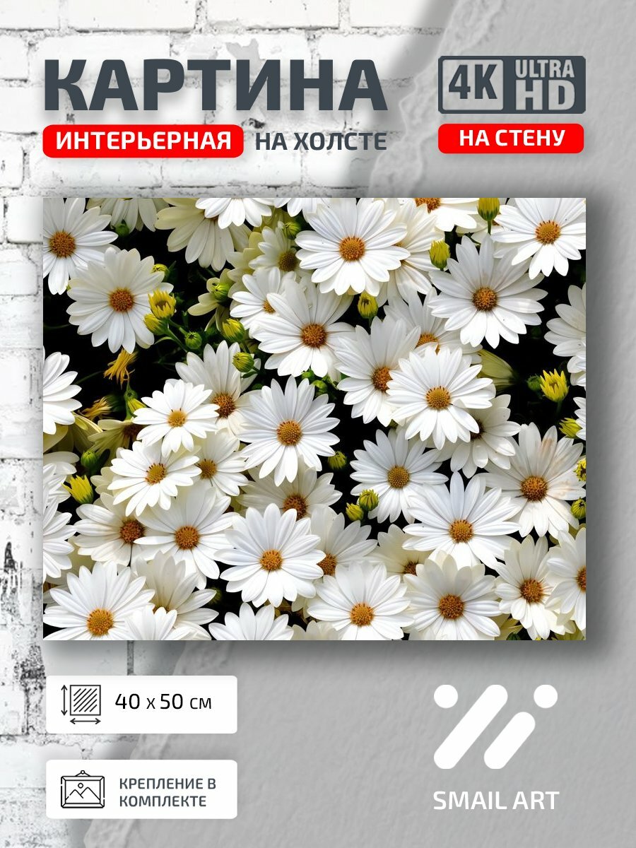 Картина на холсте интерьерная 40 на 50 на стену Ромашки Landscape для кабинета пейзаж декор