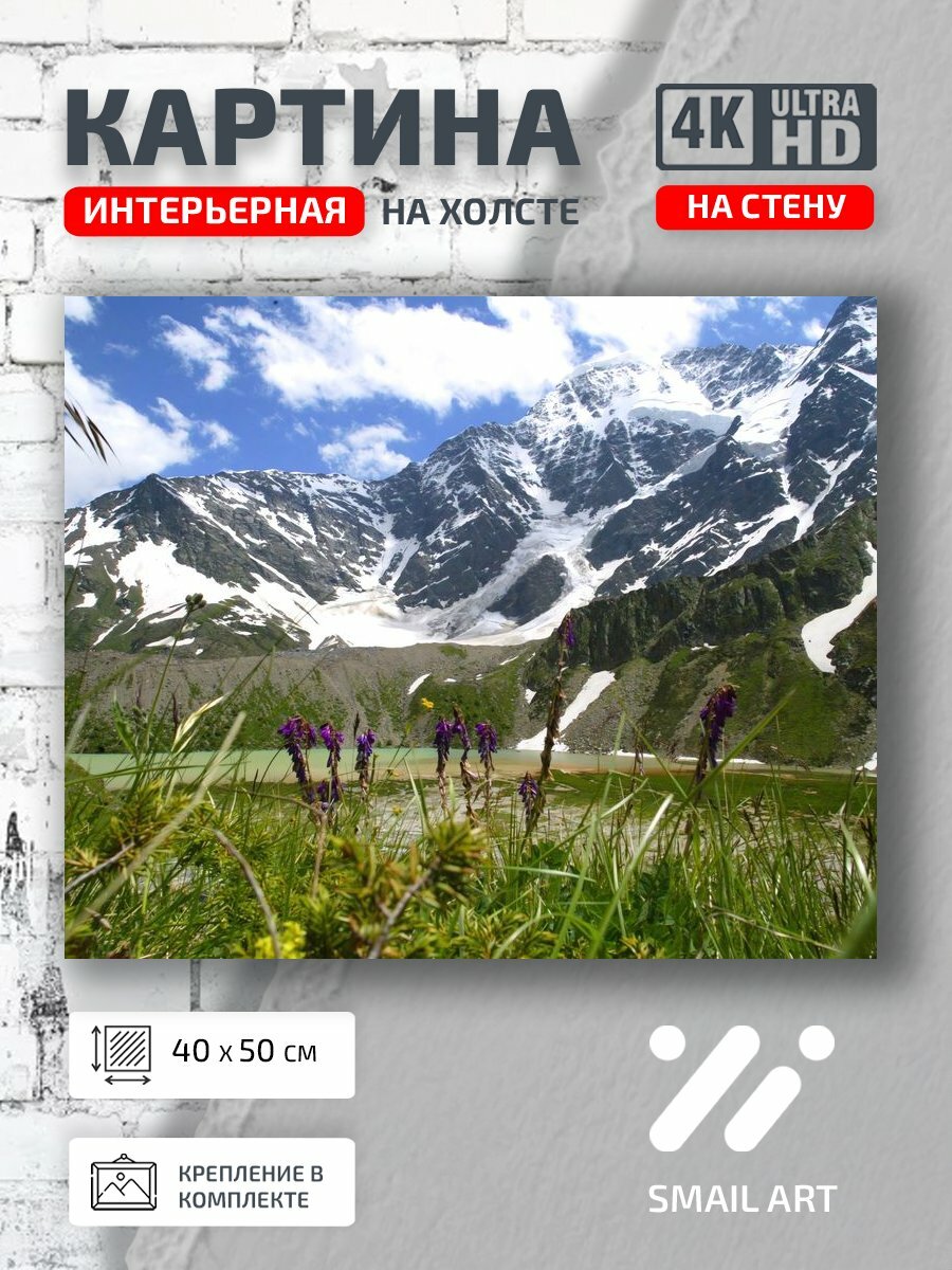Картина на холсте интерьерная 40 на 50 на стену Трава Landscape для гостиной пейзаж декор