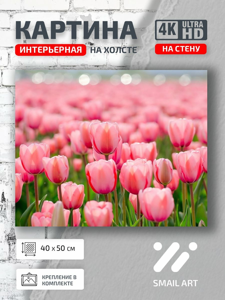 Картина на холсте интерьерная 40 на 50 на стену Тюльпаны Landscape для спальни пейзаж декор