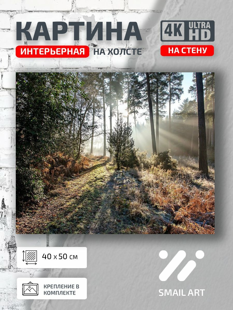 Картина на холсте интерьерная 40 на 50 на стену Деревья Landscape для гостиной пейзаж декор