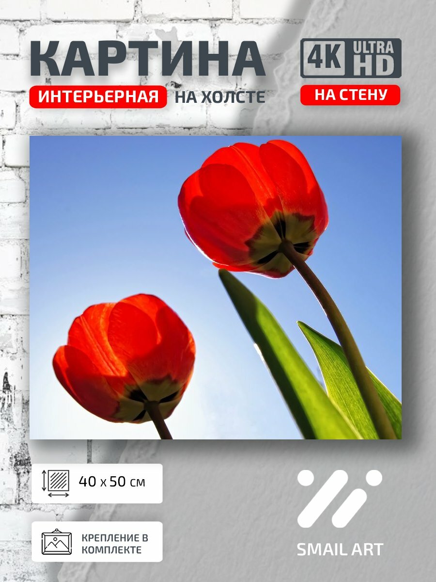Картина на холсте интерьерная 40 на 50 на стену Тюльпаны Landscape для спальни пейзаж декор