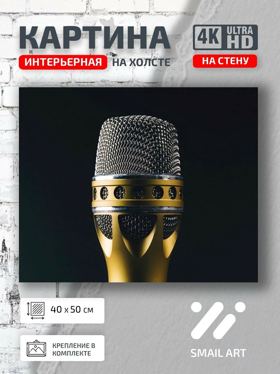 Картина на холсте интерьерная 40 на 50 на стену фон микрофон для офиса атмосфера
