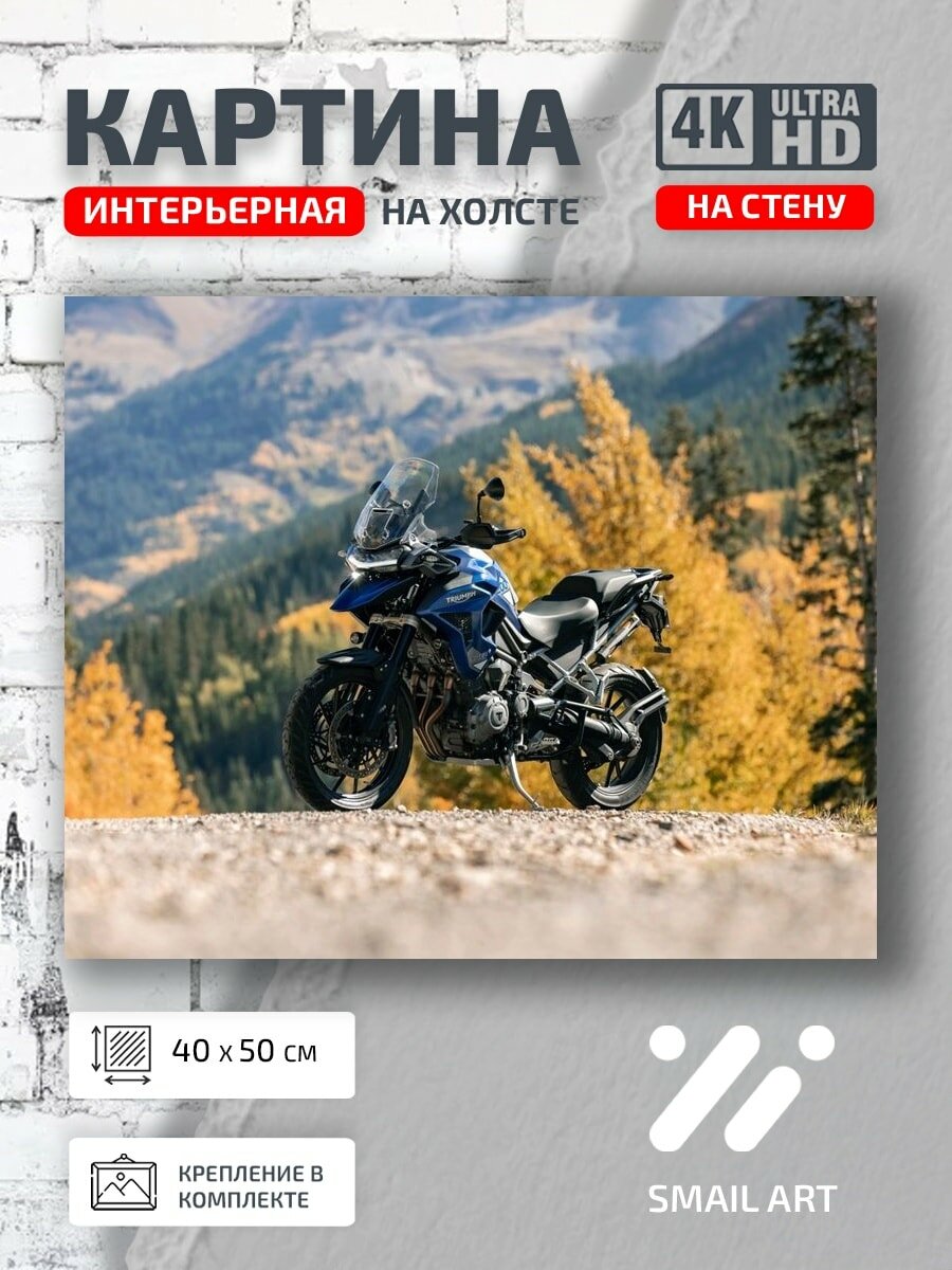 Картина на холсте интерьерная 40 на 50 на стену 1200 Adventure для гостиной animal style