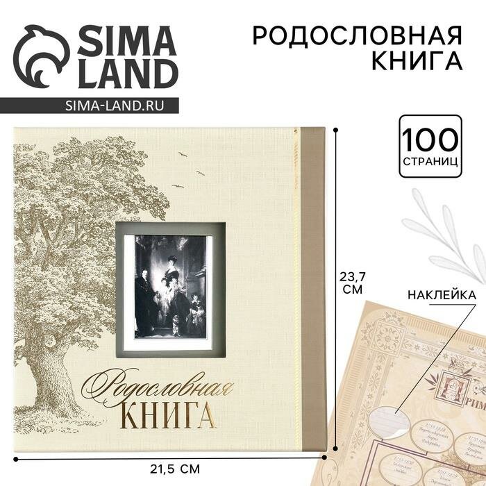 Родословная книга Семейная летопись (с фоторамкой)