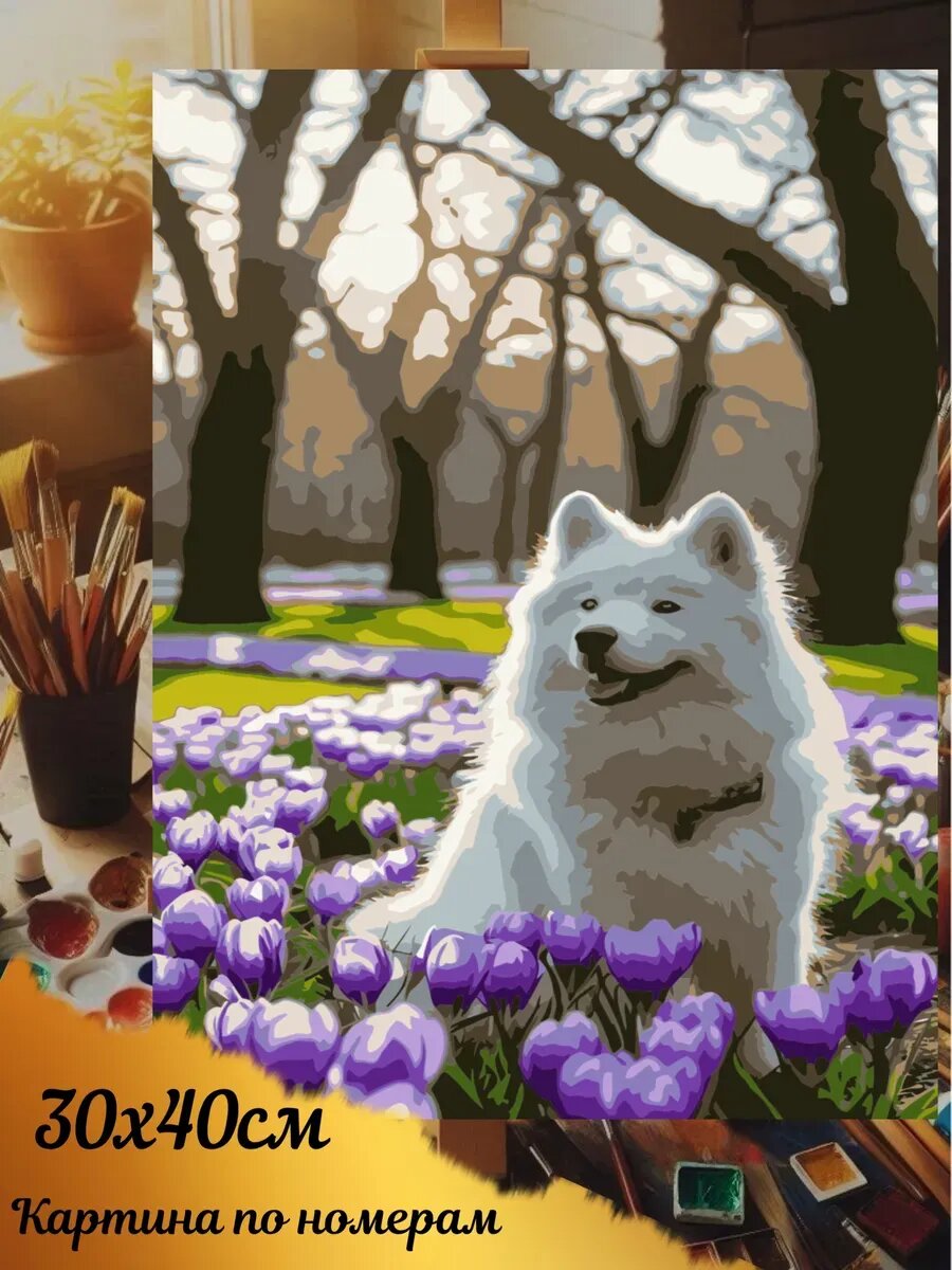 Картина по номерам самоед