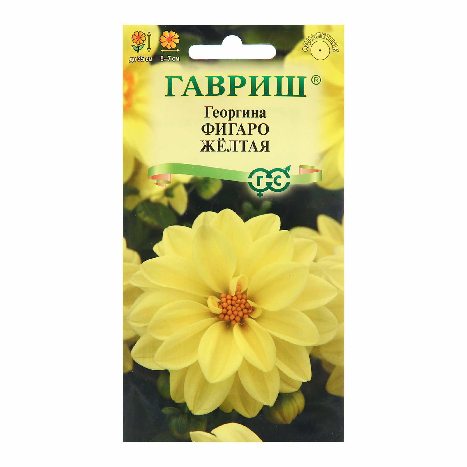 Семена цветов Георгина "Фигаро", жёлтая, 7 шт, цвет: жёлтый