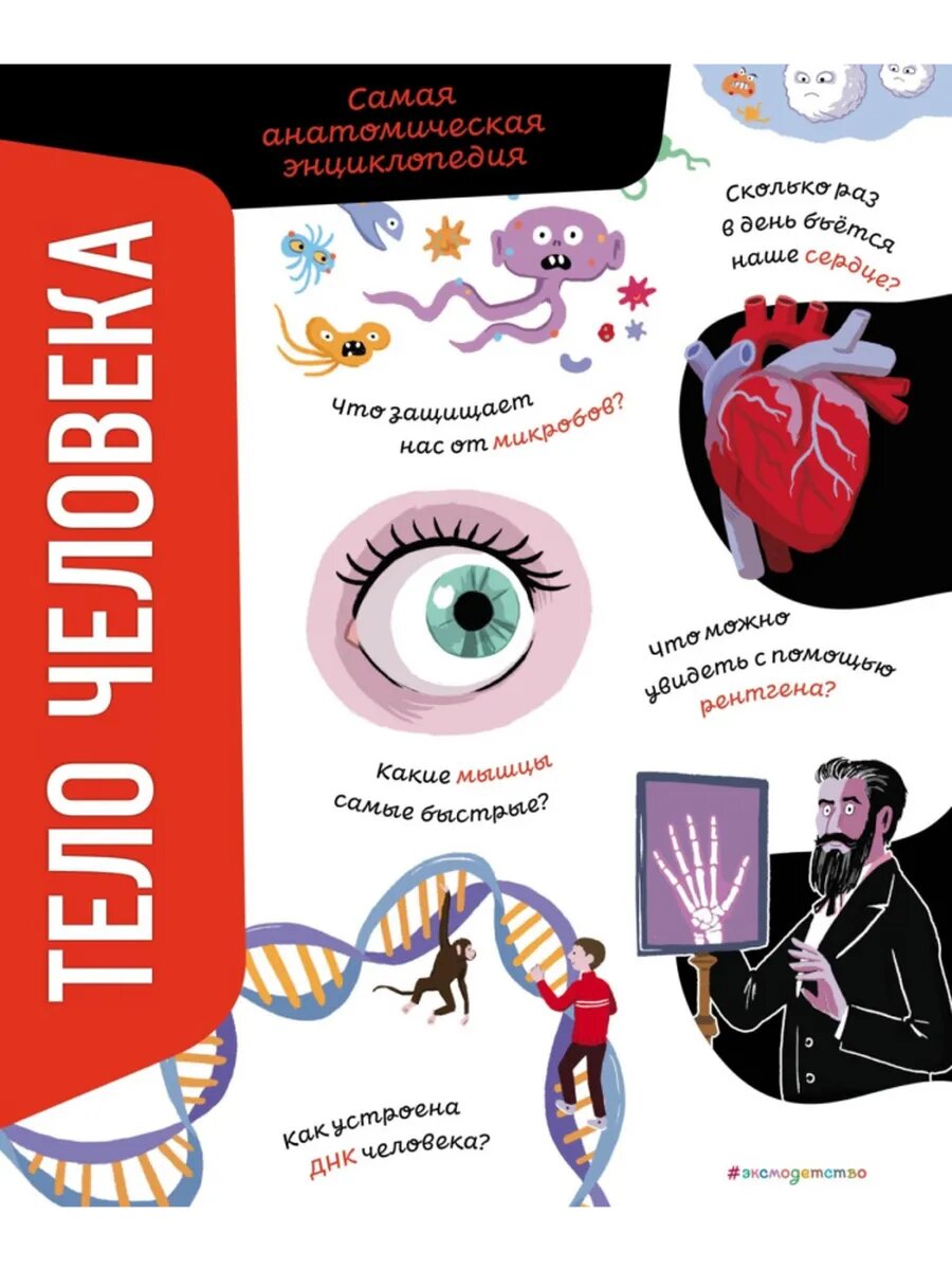 Тело человека. Самая анатомическая энциклопедия