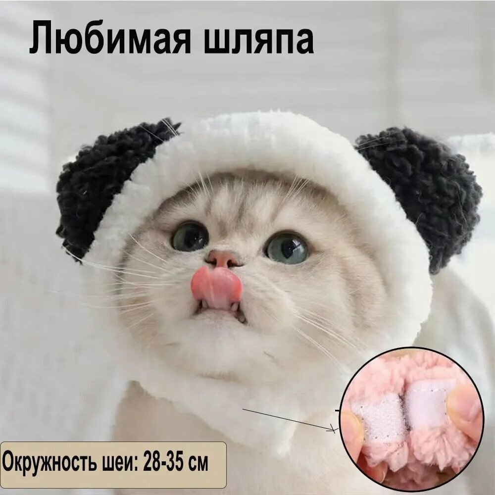 Шапка для кошек и собак мелких пород