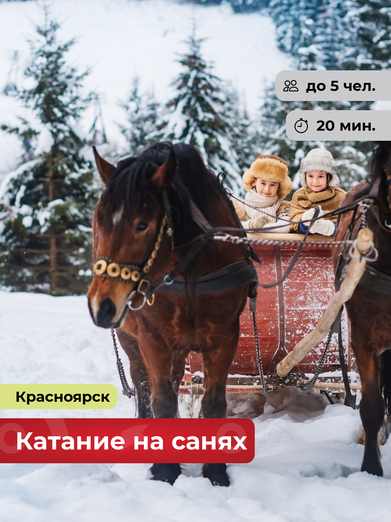 Подарочный сертификат bonodono Катание на санях «Волшебные моменты.», г. Красноярск