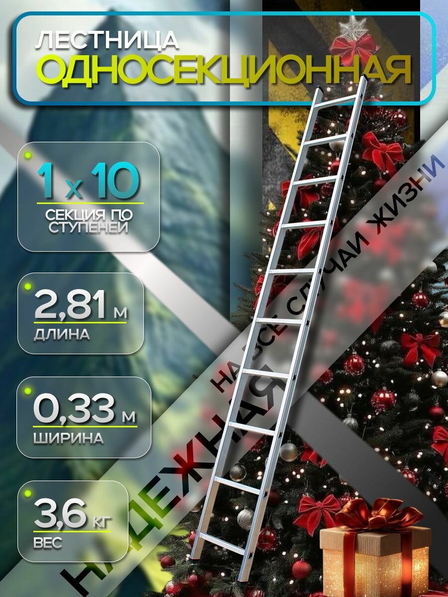Лестница приставная алюминиевая односекционная 1х10, 10 ступеней.
